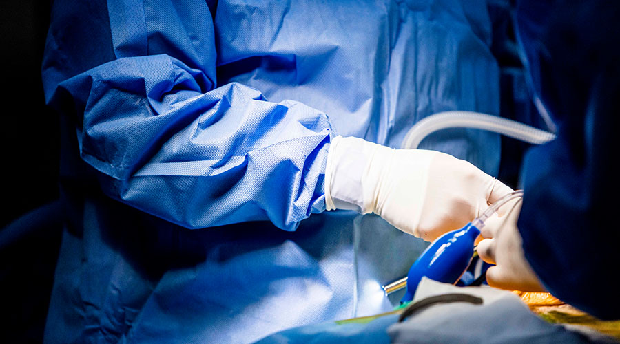 Become a Surgeon | RACS